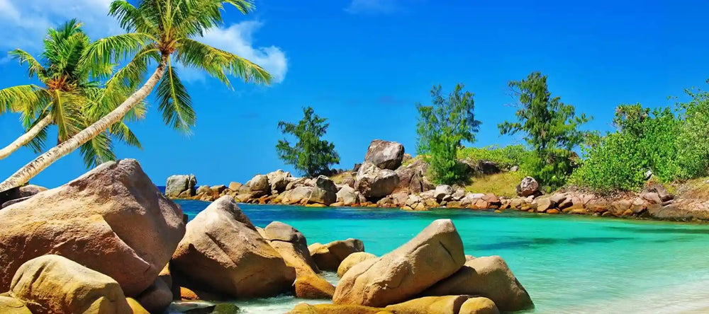 Australia Evolution: Wellness, Health & Skincare Products – Australian ...
